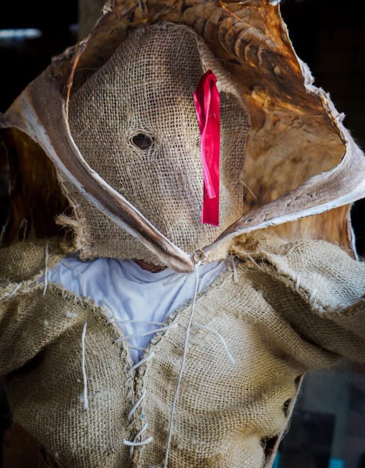 Los Osos de Nunkiní renacen: una tradición ancestral que conquista a ...